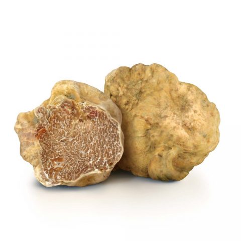 Fresh white Truffle | Shop Online