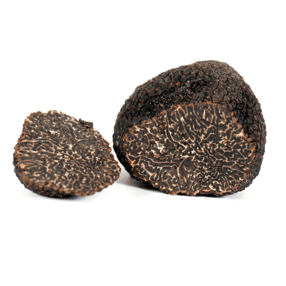 Tartufo Nero Pregiato Fresco (Tartufo di Norcia) | Shop On Line