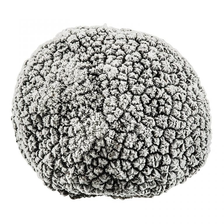 Frozen Black Summer Truffle | Buy online